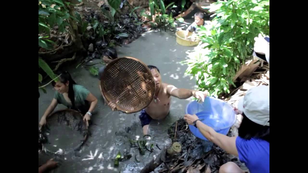 NCG Ben tre cuoi tuan - YouTube