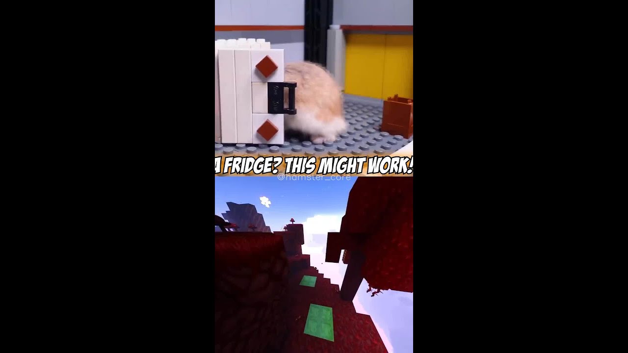 HAMSTER VS EVIL CAT: THE SHOWDOWN! Part. 3 😱🐹🆚🐱 - YouTube