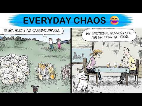 Funny Comics That Perfectly Capture Human Habits And Animal Chaos 😂