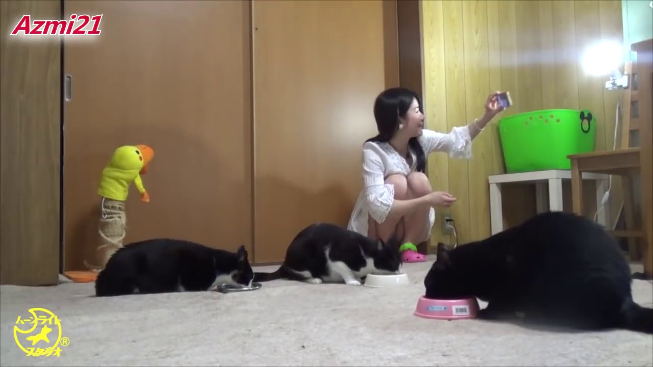 Menis' short storise 037 Cat food - YouTube