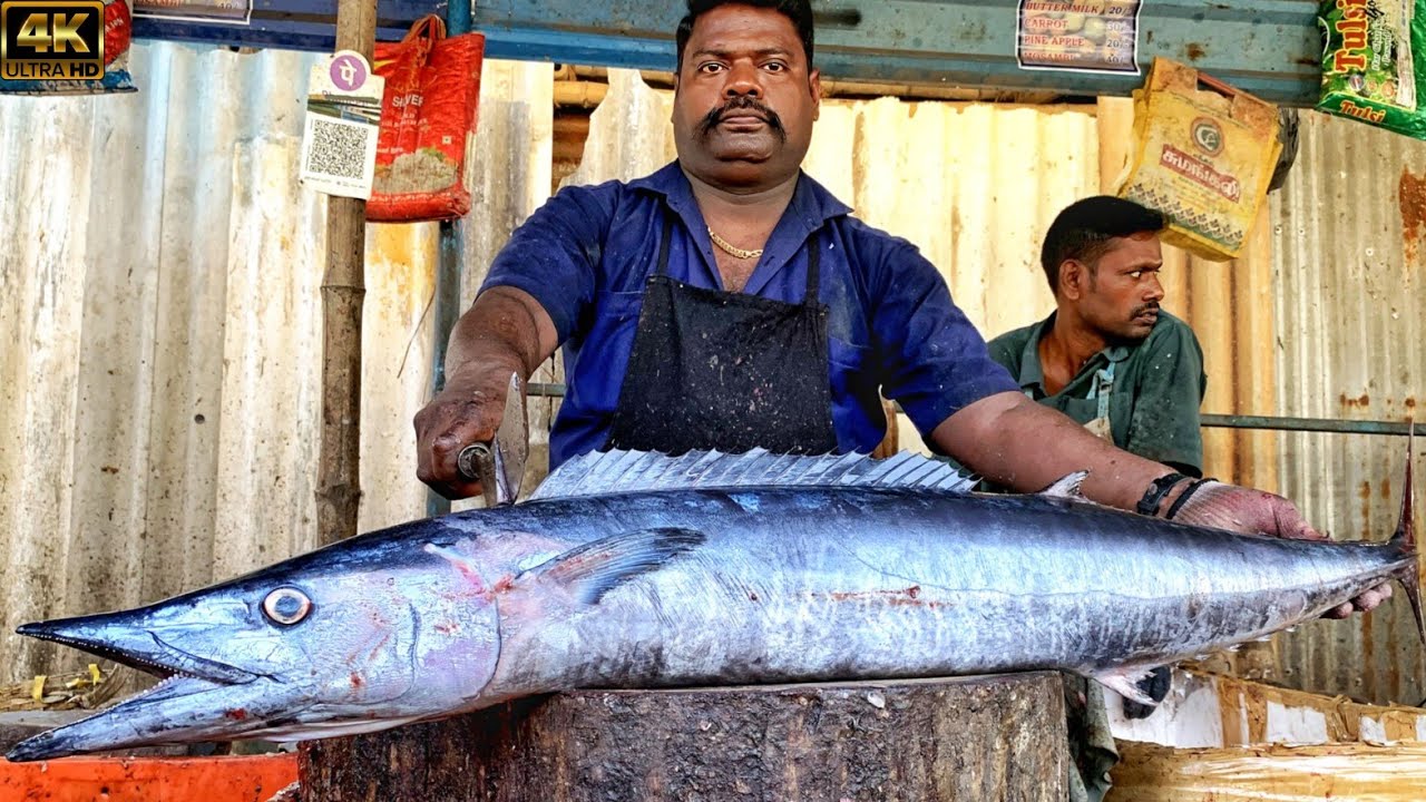 KASIMEDU 🔥 SPEED SELVAM | BIG SIZE AARA KOLA FISH CUTTING | 4K VIDEO ...