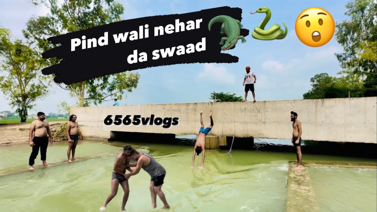 Pind wali nehar da swad ️Dub chla c banda sada😲 nehar vich sap🐍🐍# ...
