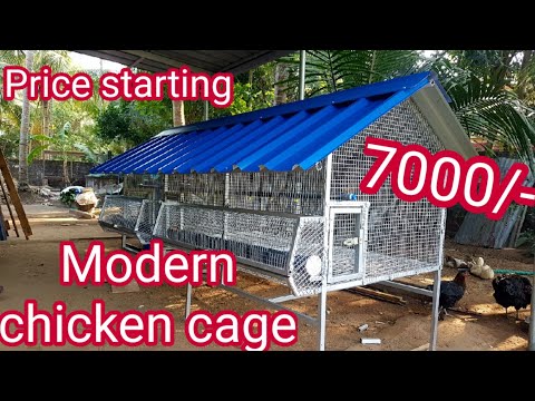 Kozhi koodu Modern cage and kada / Quail / Kozhi /chicken available at ...