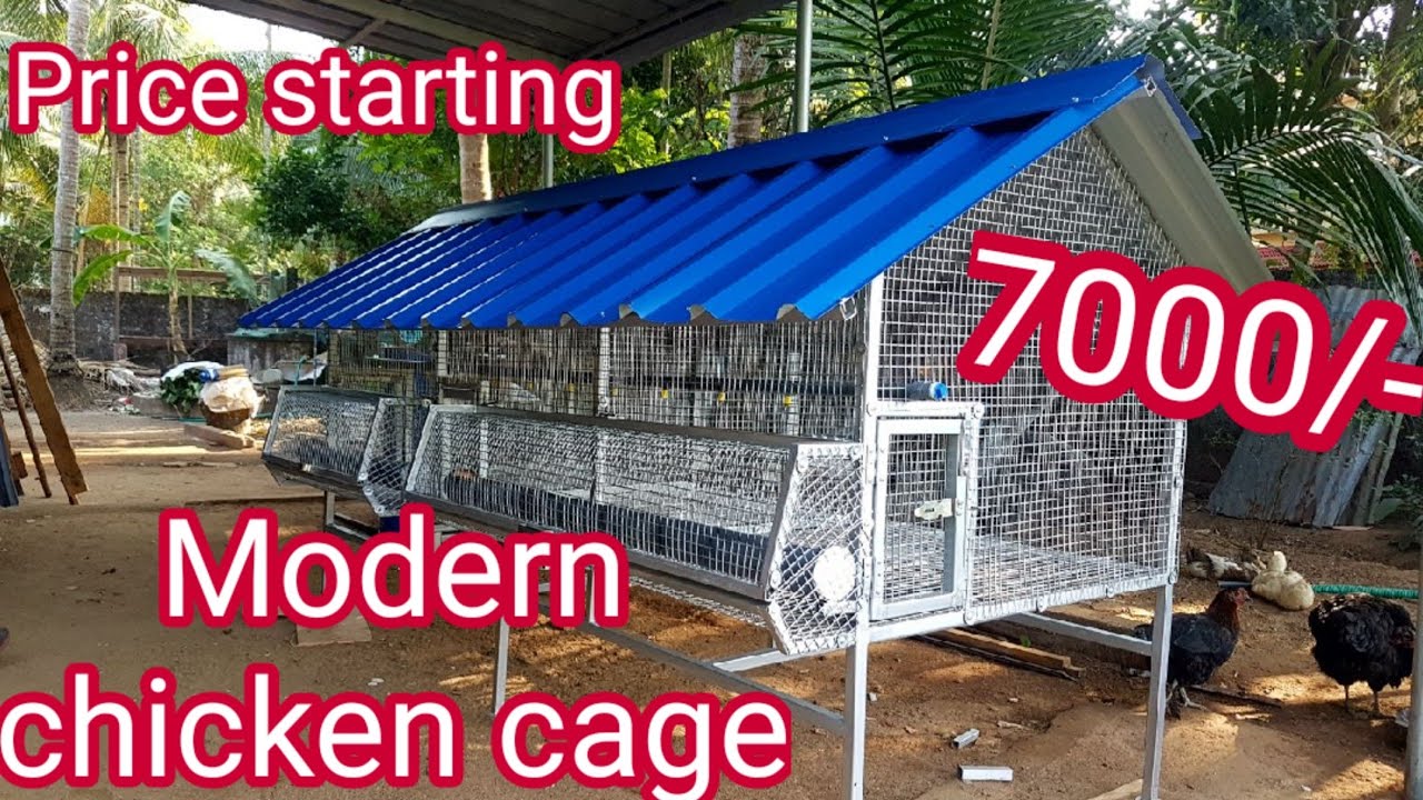 ഹൈടെക്ക്‌ കോഴിക്കൂടുകൾ വാങ്ങാം I High Tech Hen Cage I Hitech chicken ...