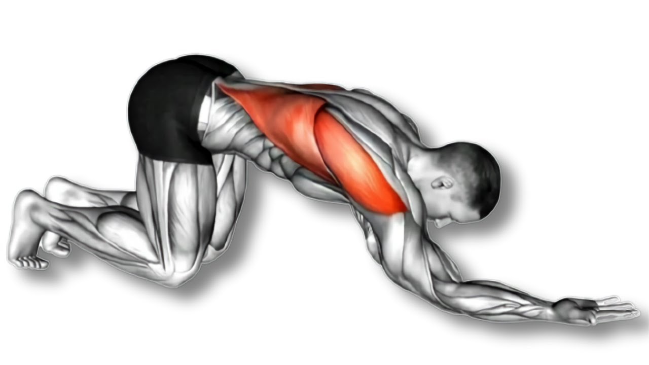 4-Minute Daily Back Muscle Strengthening Exercises. - YouTube