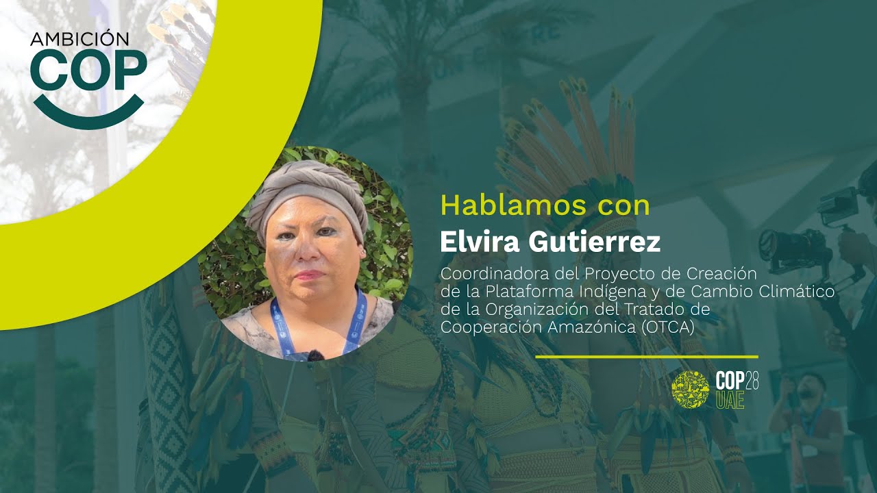 COP28 | Elvira Gutierrez - YouTube