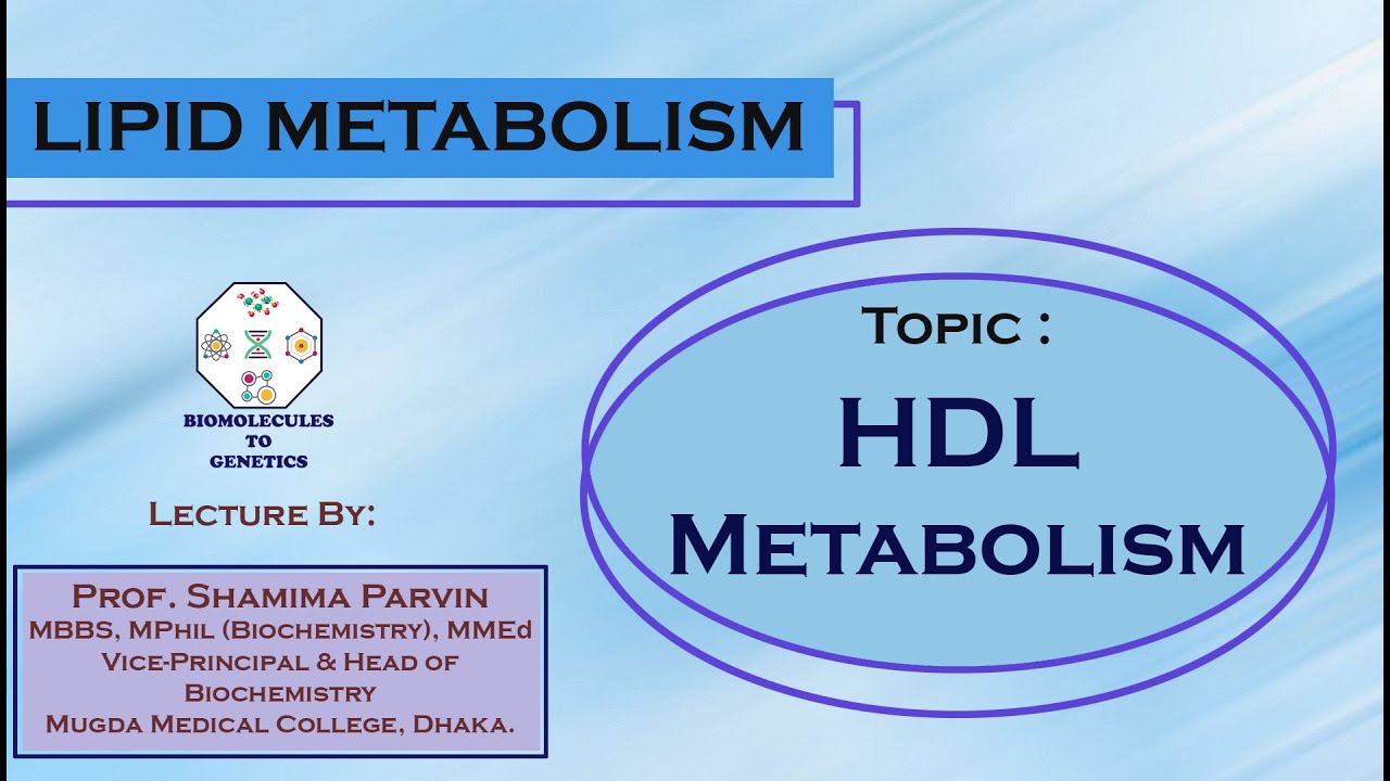 HDL Metabolism || Lipoprotein Metabolism - YouTube