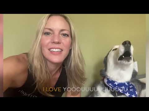 10 Minutes of FUNNIEST Huskies🤣 | TRY NOT TO LAUGH