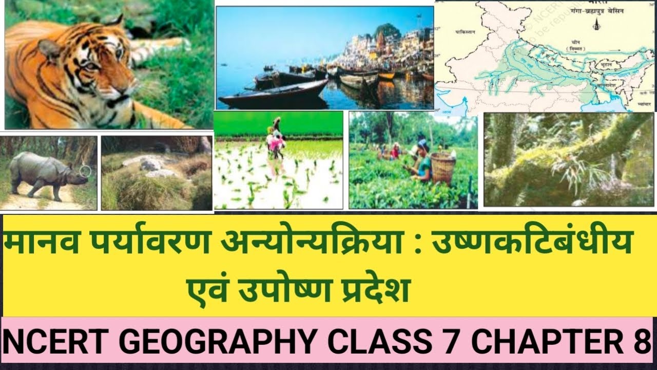 NCERT GEOGRAPHY CLASS 7| CHAPTER 8|for ctet / uptet /kvs/dsssb/bpsc all ...
