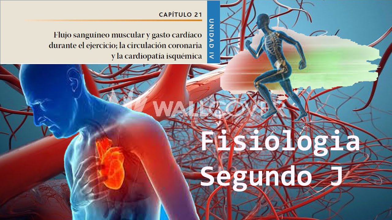 Capitulo 21 Guyton y Hall 13 ED - YouTube