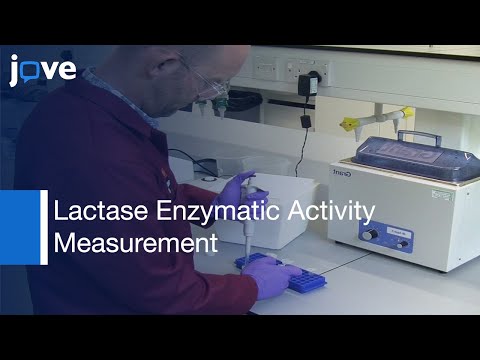 Lactase Enzymatic Activity Measurement - YouTube