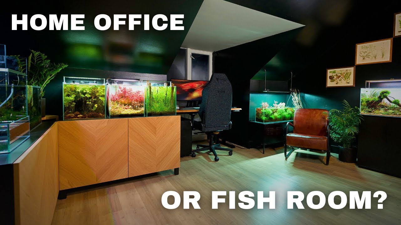 THE NEW MJ AQUASCAPING STUDIO! Home Office /Fish Room Tour - YouTube