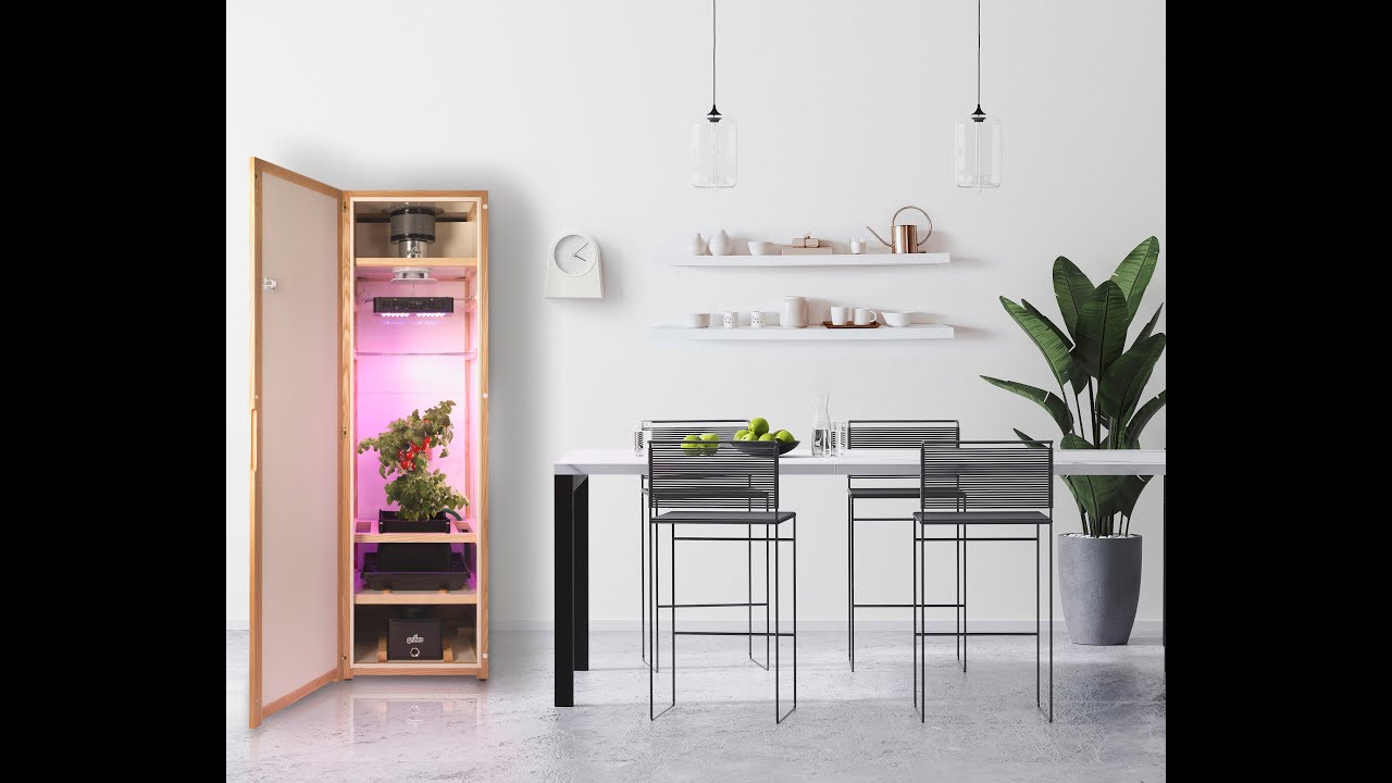 Growa - An app-controlled, automated, indoor grow cabinet for year ...