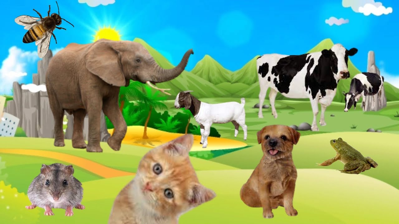 Surrounding animals with frogs, mice, cats, elephants, cows, goats ...