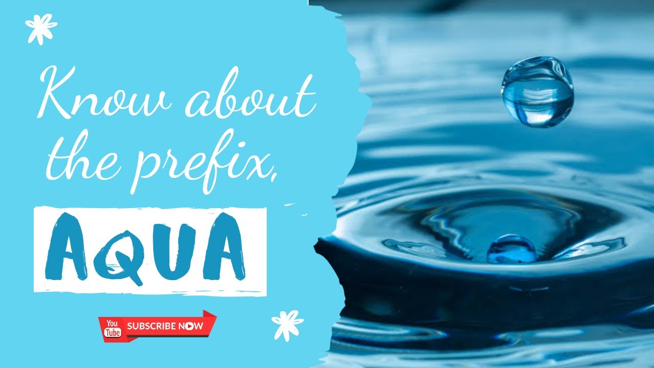 Learn more about the prefix, AQUA. - YouTube