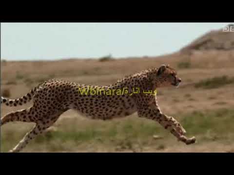 NA3AMA - YouTube