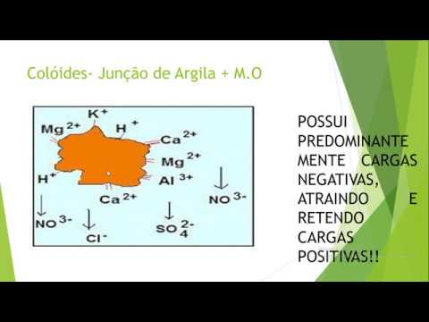 Aula 6- O que é a CTC, Cátions, Anions e como os nutrientes são retidos ...