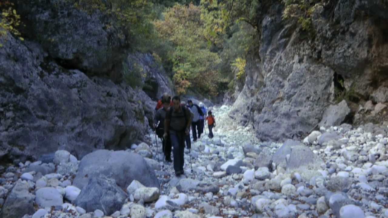 ΤΟ ΦΑΡΑΓΓΙ ΤΟΥ ΡΙΝΤΟΜΟΥ - YouTube