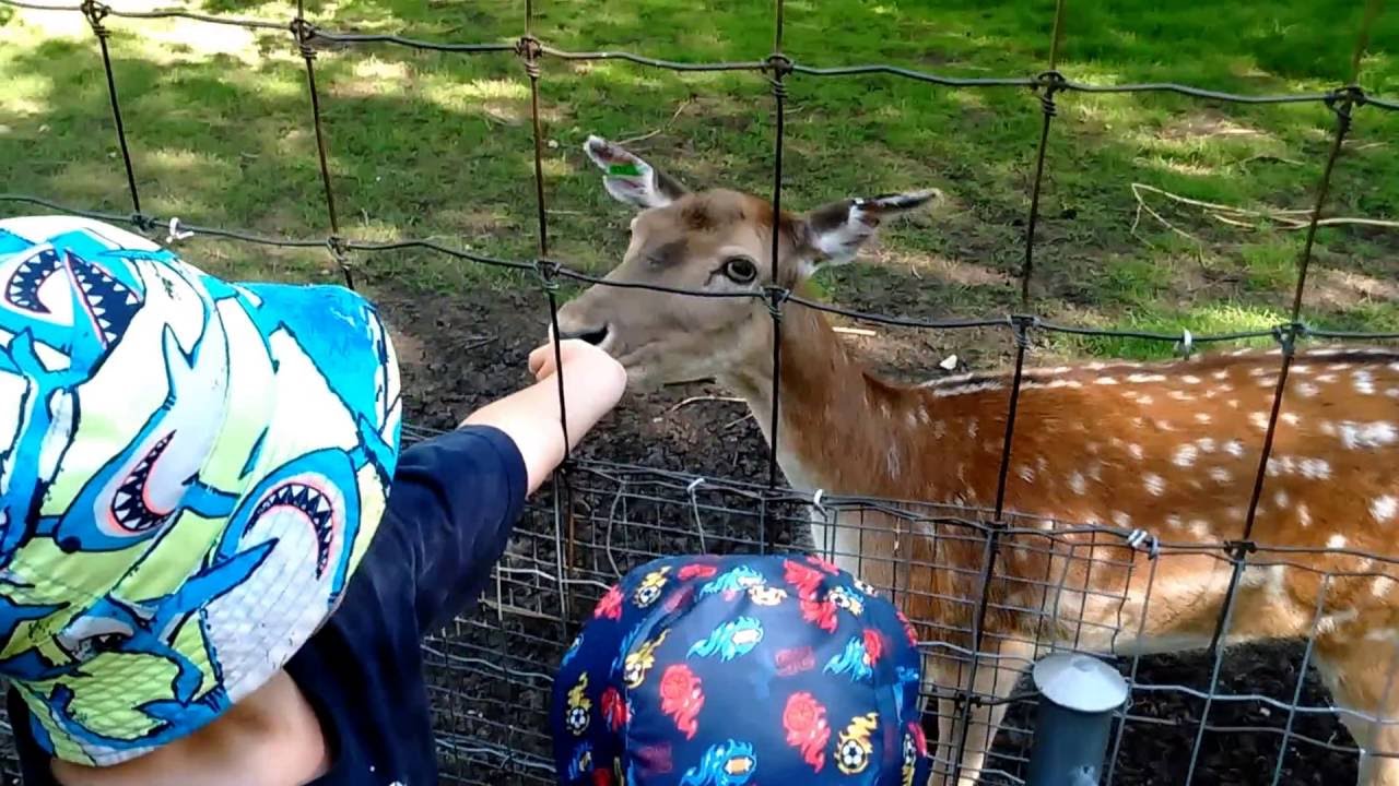 Forestry Farm Park and Zoo - Saskatoon (Saskatchewan adventure 2016 ...