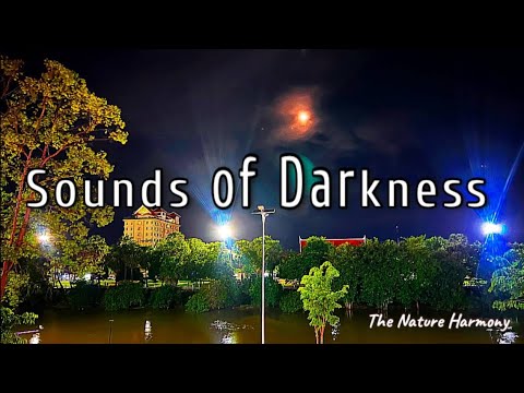 Night's Symphony: Sounds of Darkness | Black Screen Sounds for ...