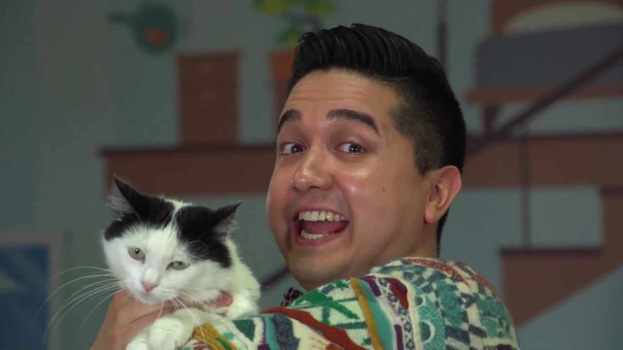 Find your purrfect life partner today! - YouTube