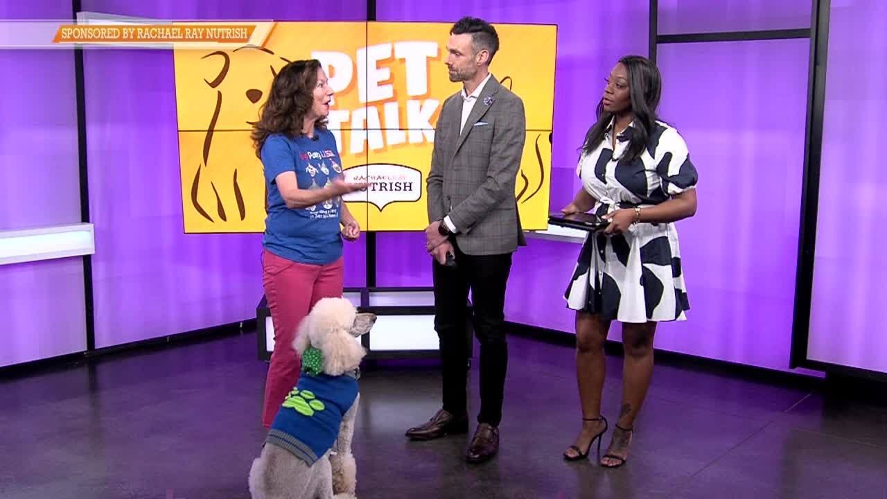 Pet Talk: Dog breeds - YouTube