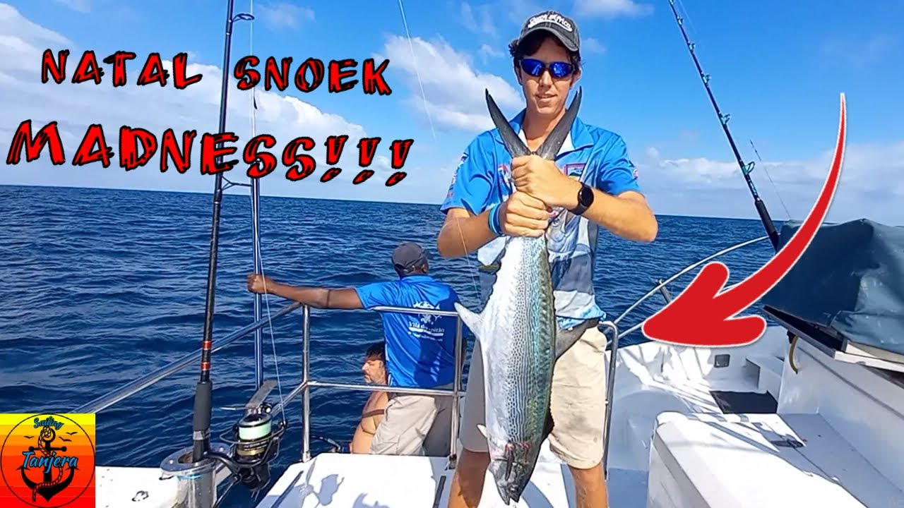 Natal Snoek MADNESS! | Sofala Banks - YouTube
