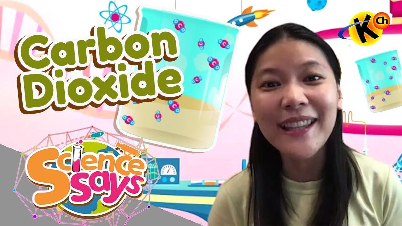 Carbon Dioxide | Science Says - YouTube