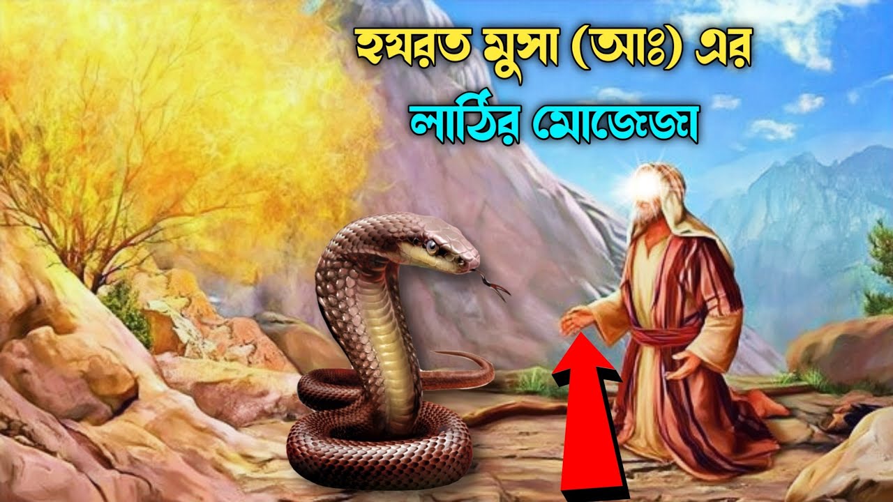 হযরত মুসা আঃ এর লাঠির মুজিজা || Hazrat Musa as || Miracle Stick of ...