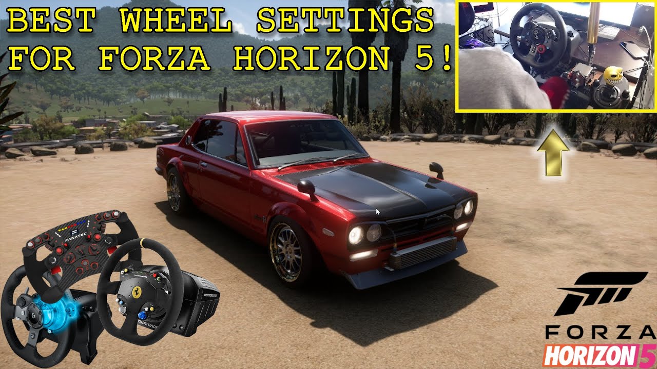 BEST Steering Wheel & Force Feedback Settings For Forza Horizon 5 ...