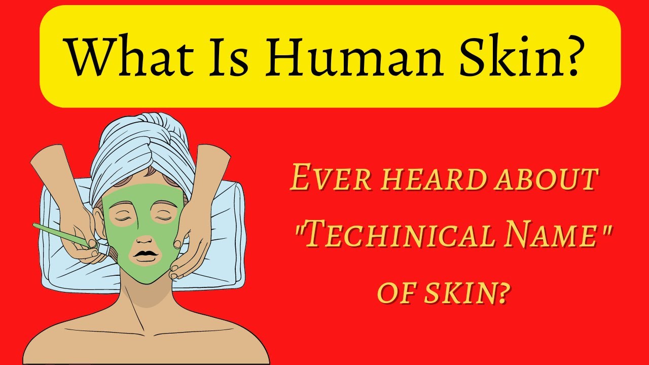 What Is Skin‼️ ||Know The Basics|| - YouTube
