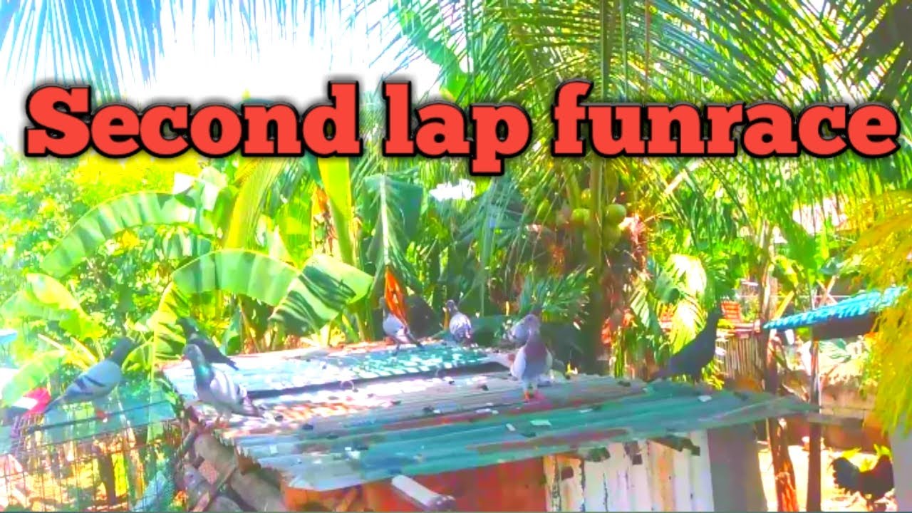 Second Lap funrace - YouTube