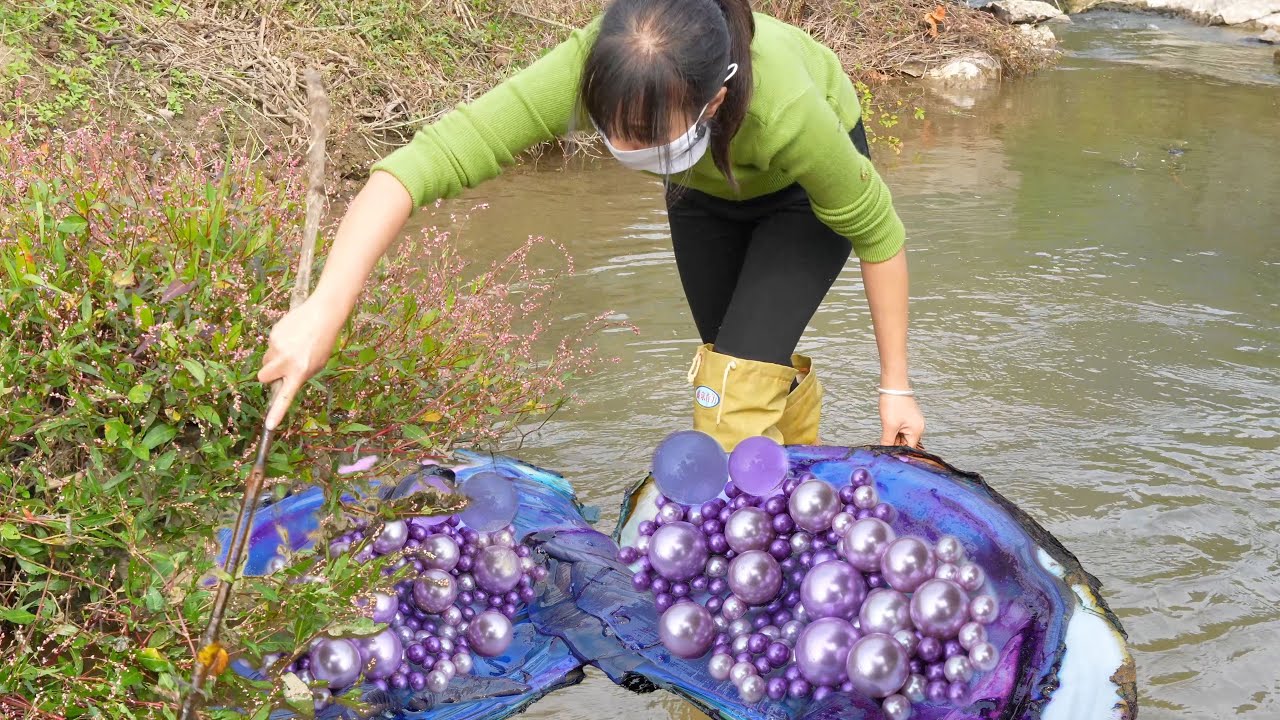🔮 Found purple clams dating back to 168 years in the wild, cut open and ...