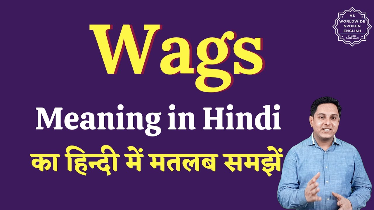Wags meaning in Hindi | Wags ka matlab kya hota hai | English to hindi ...