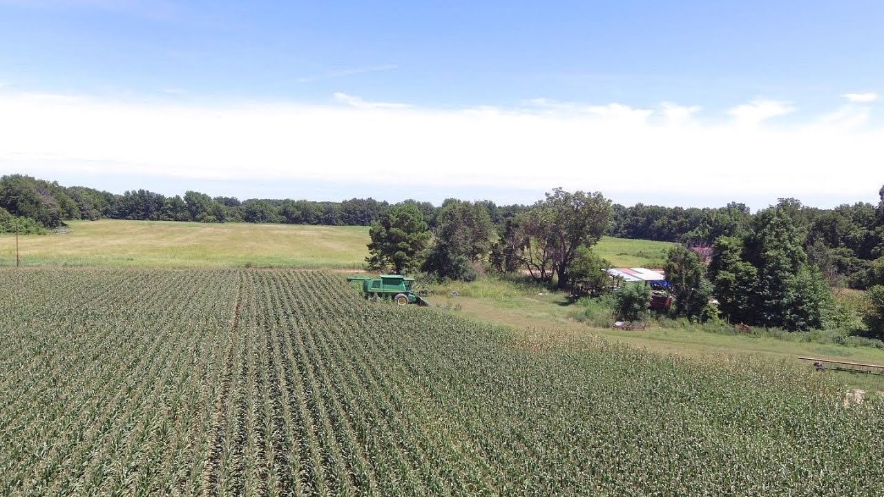 Talking about Starting From Scratch as a First Gen Farmer - YouTube