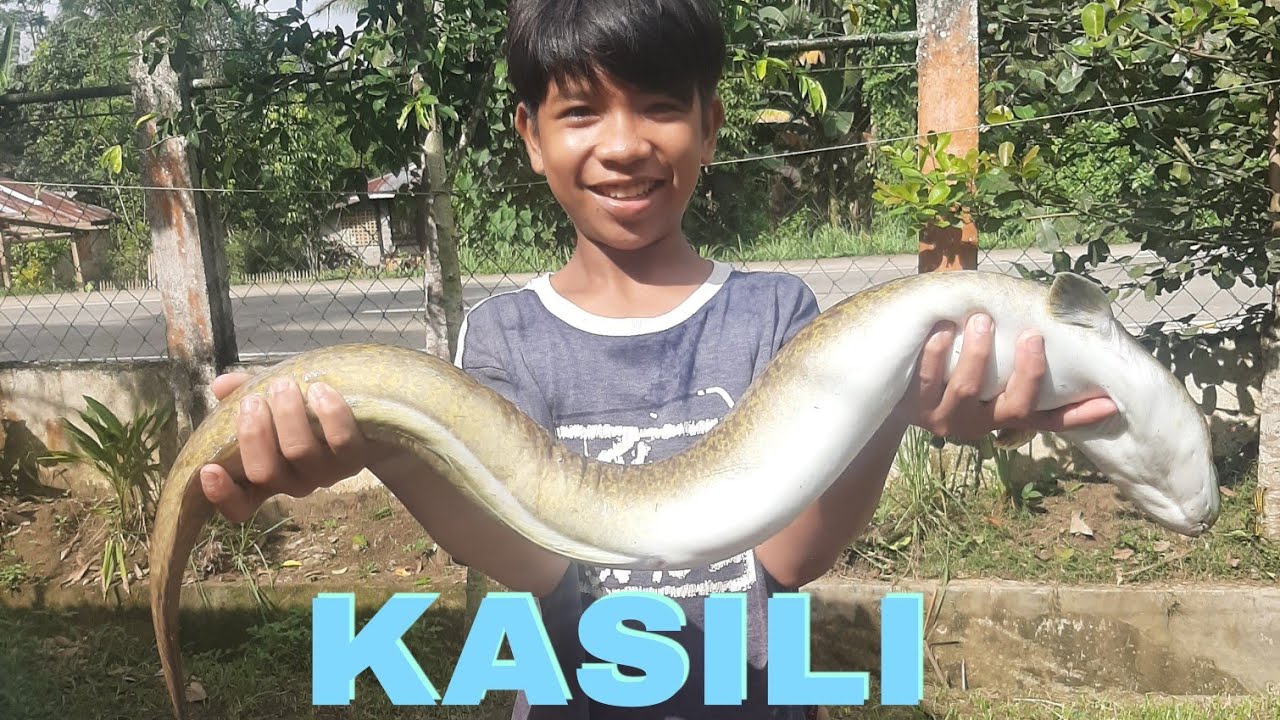 VLOG#10||BUHAYPROBINCYA||KASILI (EEL) - YouTube