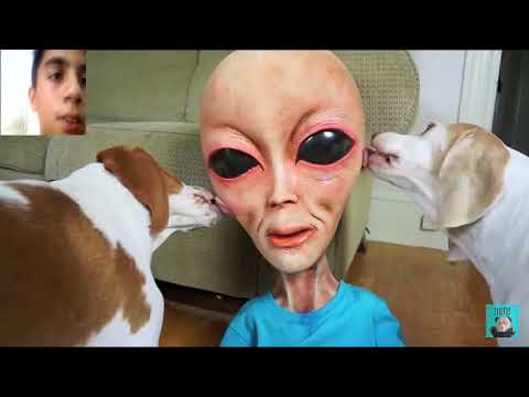 KÖPEKLERİNİ KORKUTAN MANYAK ADAM!!!