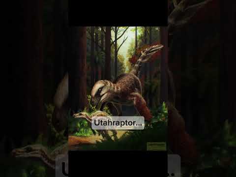 Utahraptor sounds😳