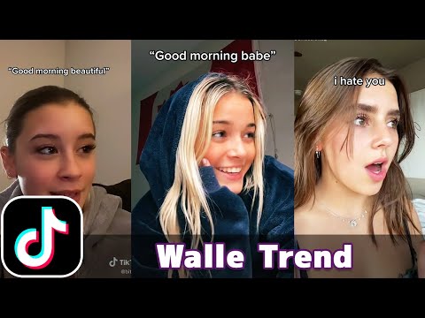 WALL-E WALL-E, Aww Trend | TikTok Compilation