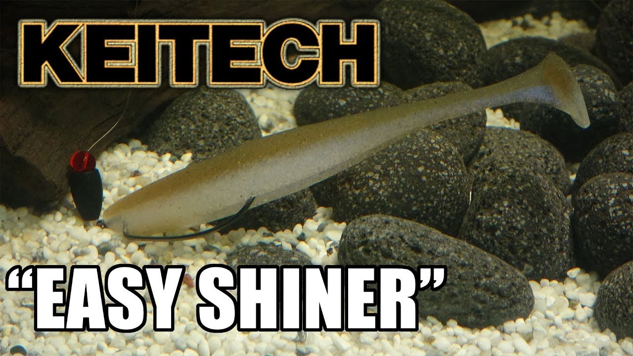 Keitech: Easy Shiner! Lure action on a Texas Rig! Underwater! Full HD ...