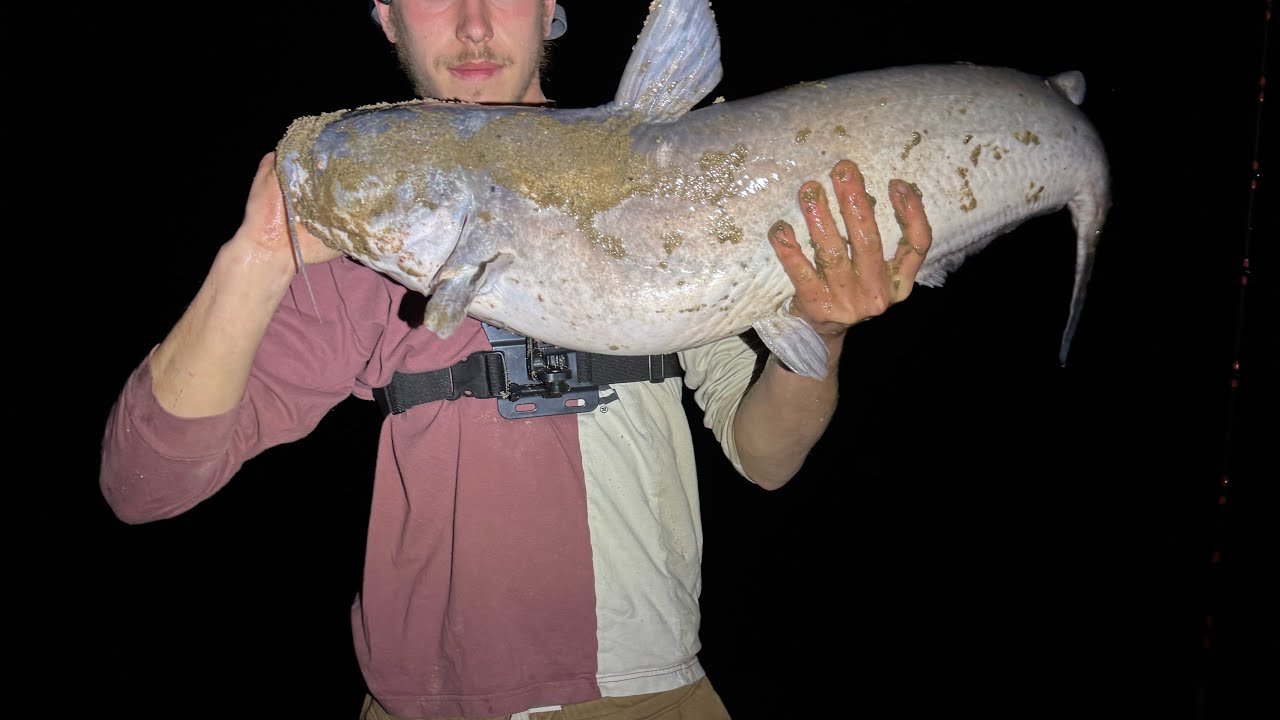 30 pound blue channel cat fishing - YouTube