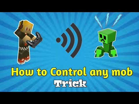 Minecraft | How to control a mob? | No Mods - YouTube