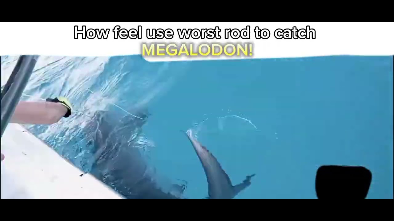 Memes fisch ep 1 - YouTube
