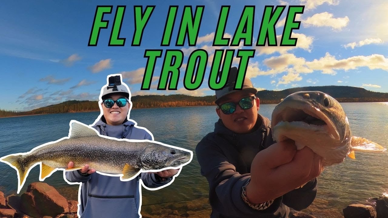 Lake Trout fishing from Shore! | Great Slave Lake - YouTube