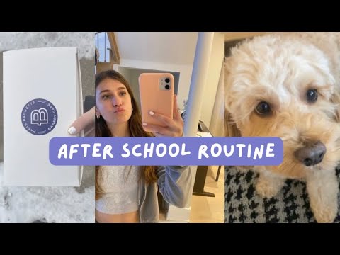 CHILL AFTER SCHOOL ROUTUNE AS A HIGHSCHOOL STUDENT (lunch, piano ...
