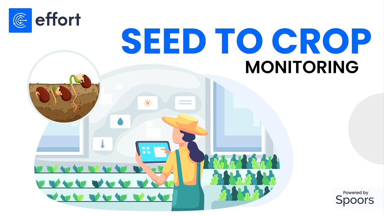 Seed to Crop Monitoring Excellence: How EFFORT Boosts Productivity for ...