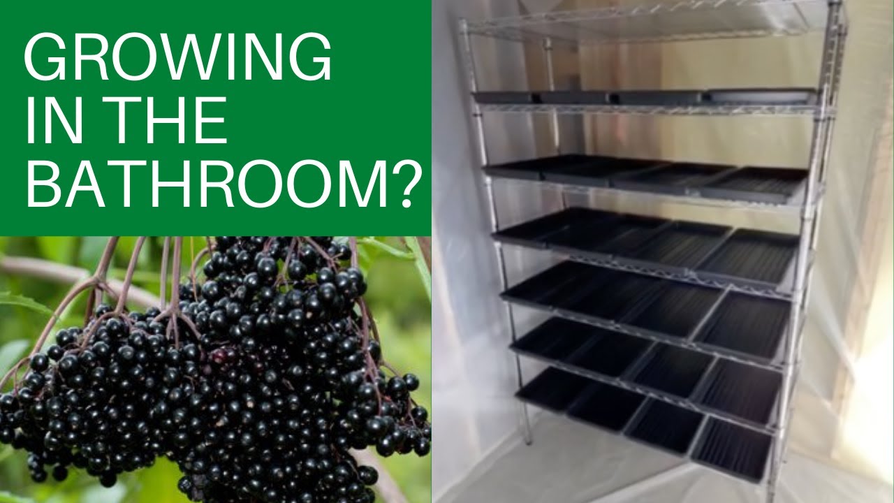 So Much To Grow In So Little Space | Homestead Update - YouTube