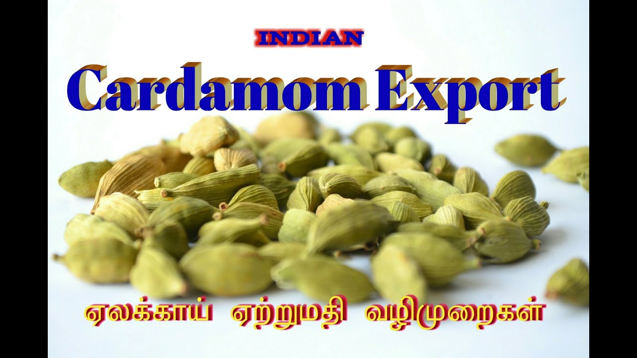 how to export cardamom from India | new business ideas | Gokul Export ...