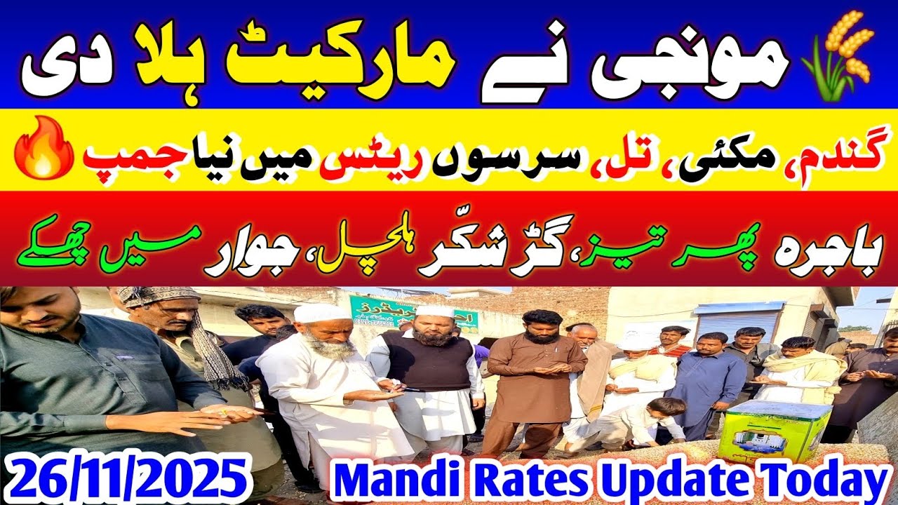 🔥 Munji Rates Today 2025 | Makki, Wheat, Jowar On Fire | Bajra, Sarson ...