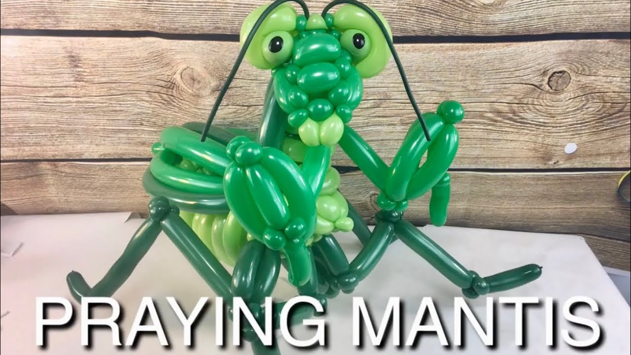 Praying Mantis Balloon 🎈 - YouTube